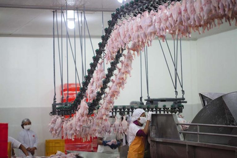 Poultry integrator finds success in roasted chicken take-out business ...