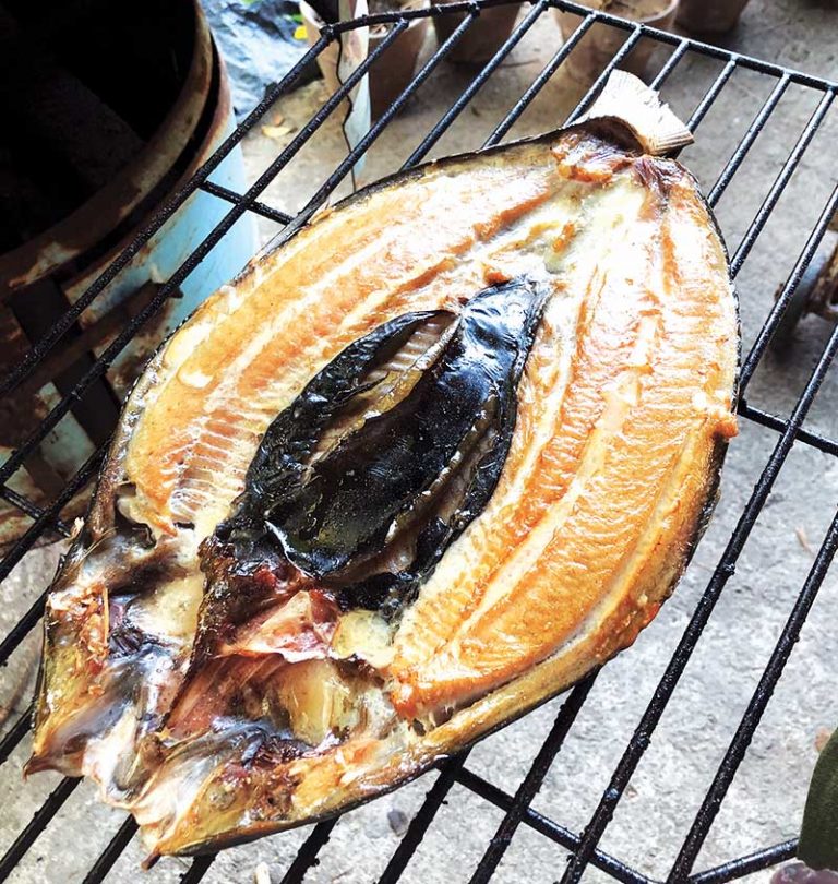 Paskong Laguna - COOK MAGAZINE